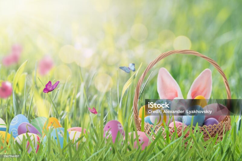 Test Easter Portraits coming Soon | Lundie's Photography